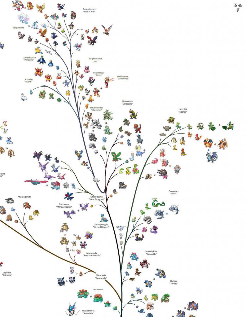 Realizzato un fantastico albero genealogico dei Pokémon! - Pokémon ...