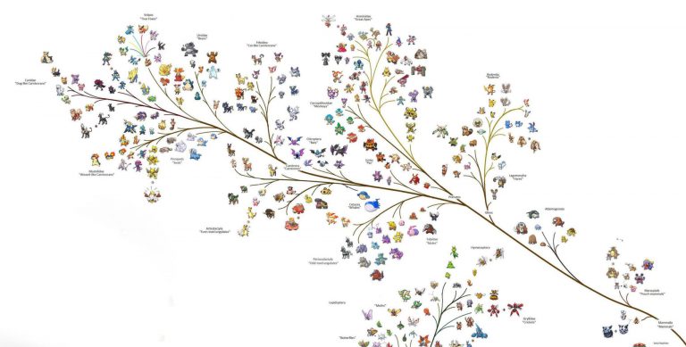 Realizzato un fantastico albero genealogico dei Pokémon! - Pokémon ...