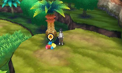 Alberi di bacche - Pokémon Millennium