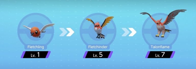 Talonflame in Pokémon Unite, tutto quello che c'è da sapere - Pokémon ...